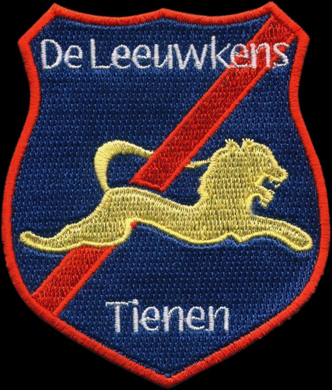 Scouting en chiro insignes voorbeelden | Emblemen en Badges