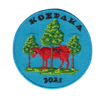 Scouting voorbeelden | Emblemen en Badges